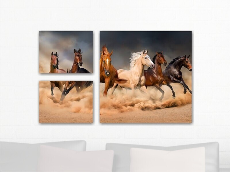 Category: Canvas Printing | Spokane Signs & Banners